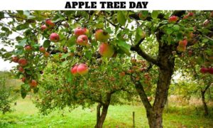 Apple Tree Day - January 6 | National Day Today