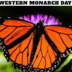 National Day Today | What National Day is Today | What is Today