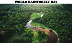 World Rainforest Day - June 22: History, Importance, and Ways to ...